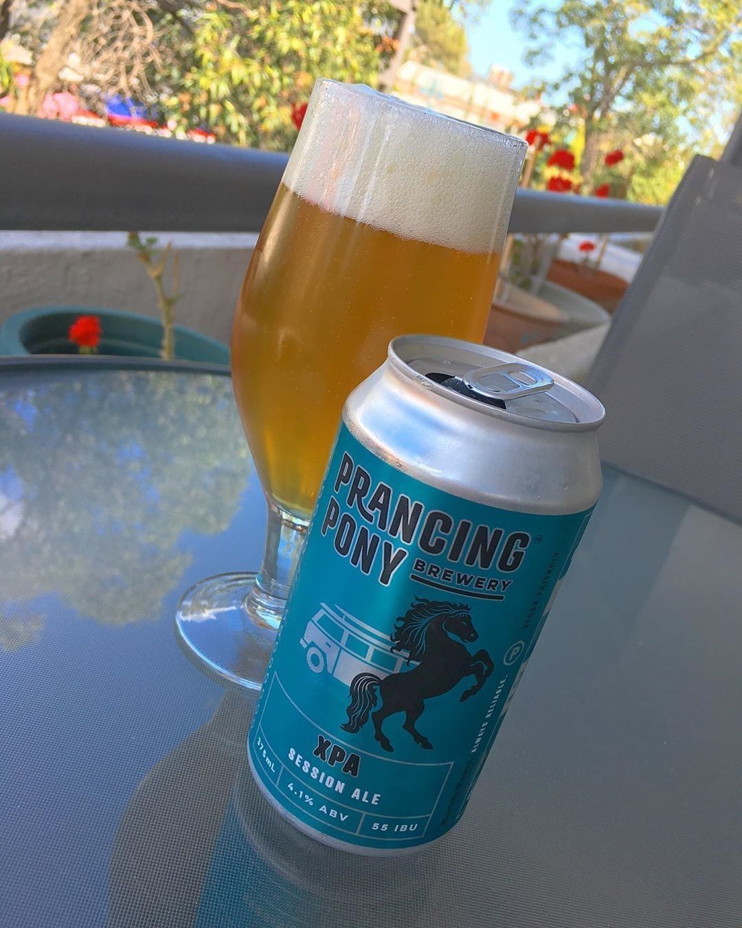 Prancing Pony XPA 375ml Can – Beer Cartel
