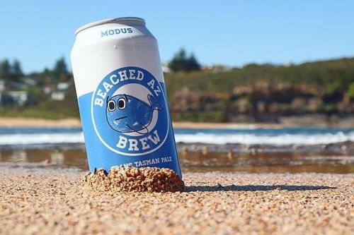Modus Operandi Beached Az Brew Pale Ale⠀