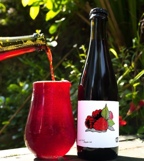 Garage Project Single Fruit Raspberry Sour