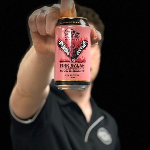 Grifter Pink Galah Pink Lemonade Sour Beer⠀