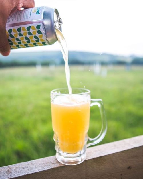 Purity Brewing Session IPA