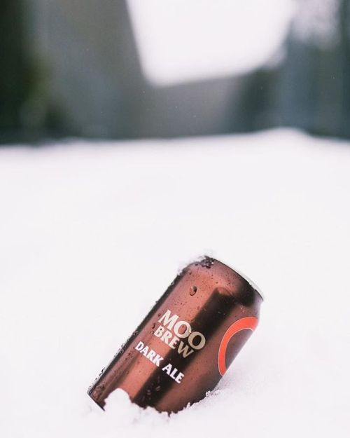 Moo Brew Dark Ale – Beer Cartel