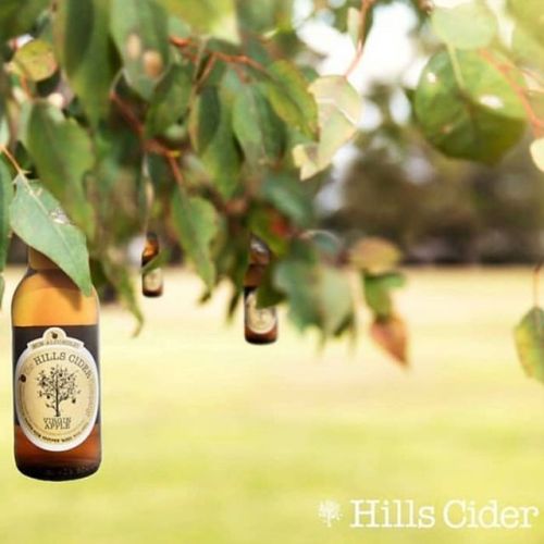 The Hills Cider The Virgin Apple Alcohol Free⠀