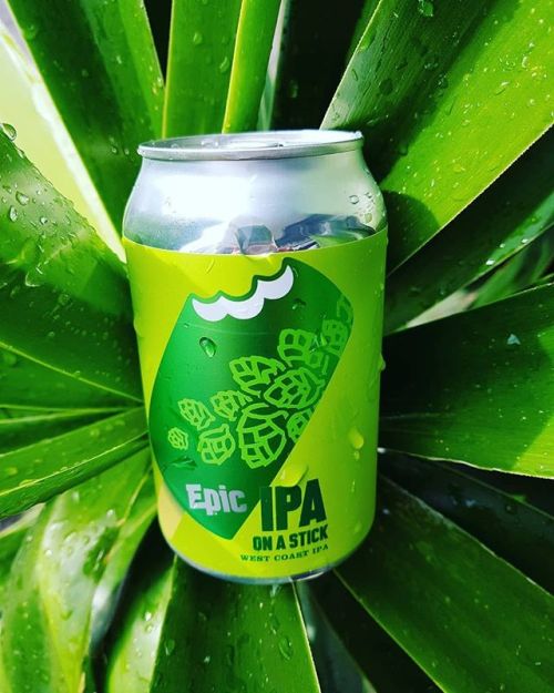 Epic IPA On A Stick West Coast IPA⠀ – Beer Cartel